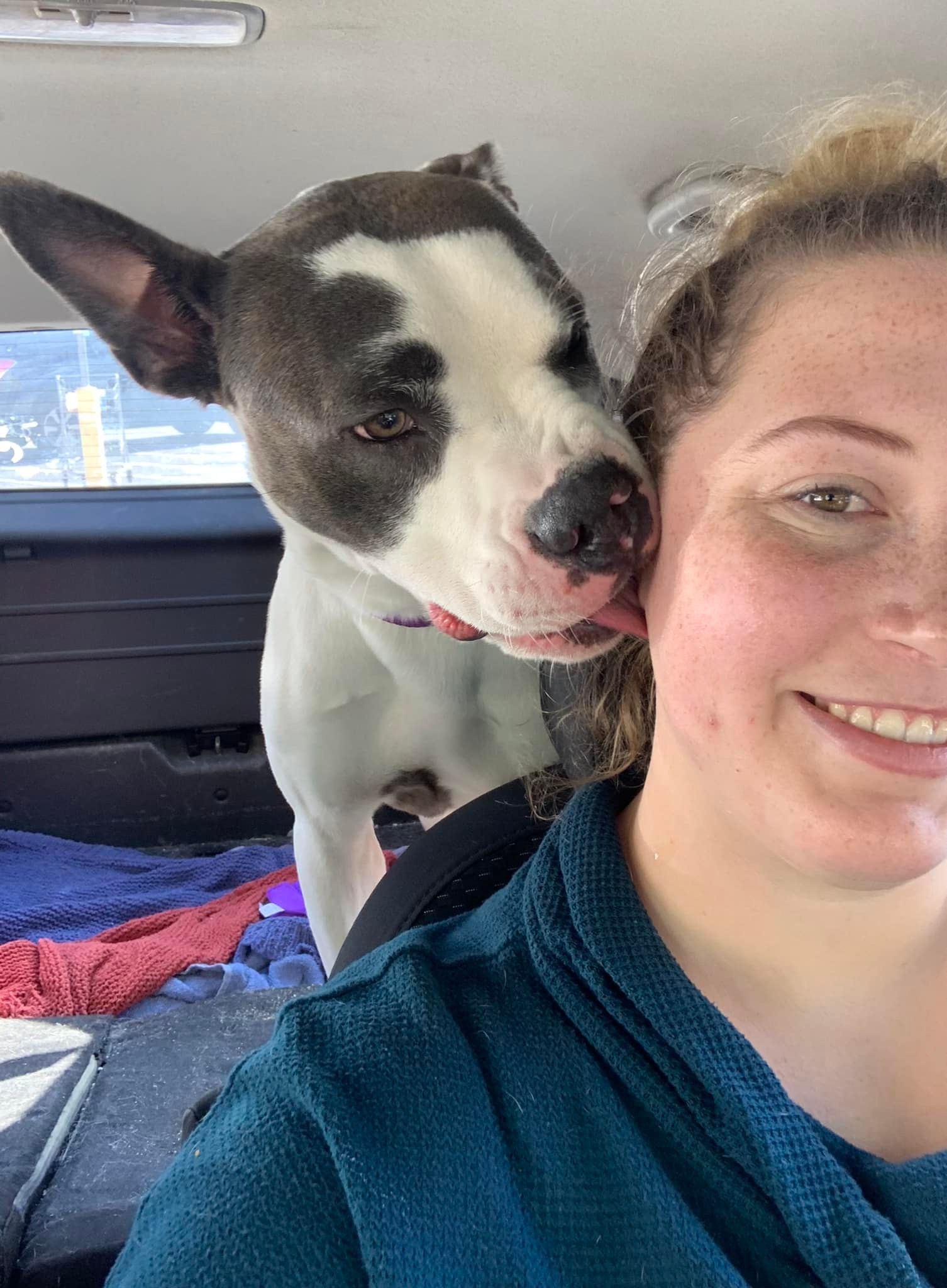 SPCA of Texas | Open Your Heart and Home: Celebrate National Foster a Pet Month by Becoming a ...