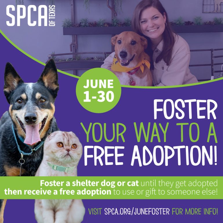 SPCA of Texas | Foster Your Way to a Free Adoption! - SPCA of Texas