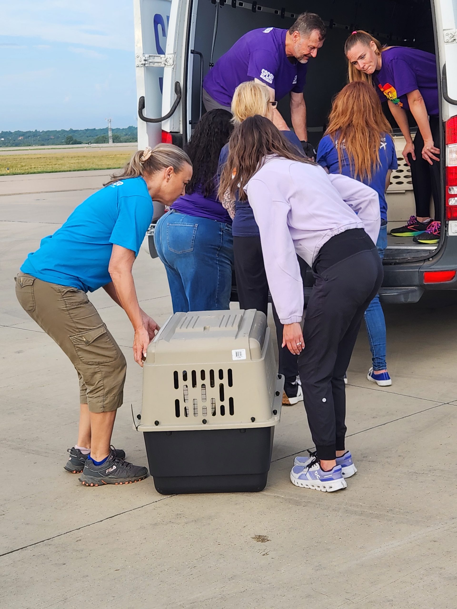SPCA of Texas | SPCA of Texas Receives Adoptable Pets from Texas Hill ...
