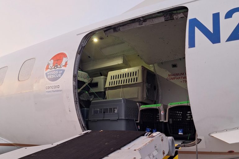 SPCA of Texas | SPCA of Texas Receives $175,000 Grant from The C ...