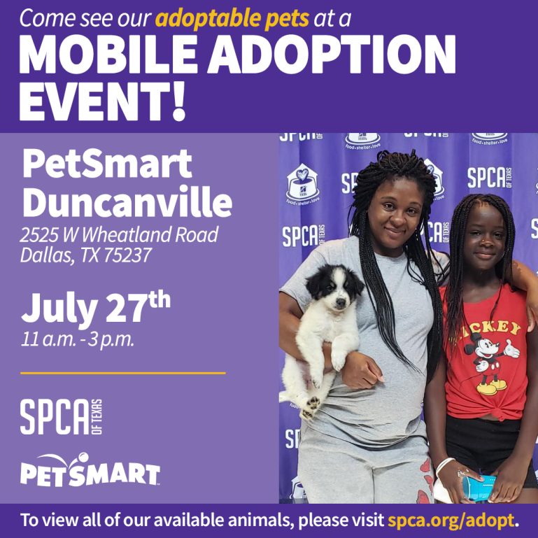 SPCA of Texas | Mobile Adoptions @ PetSmart Duncanville – PetSmart ...