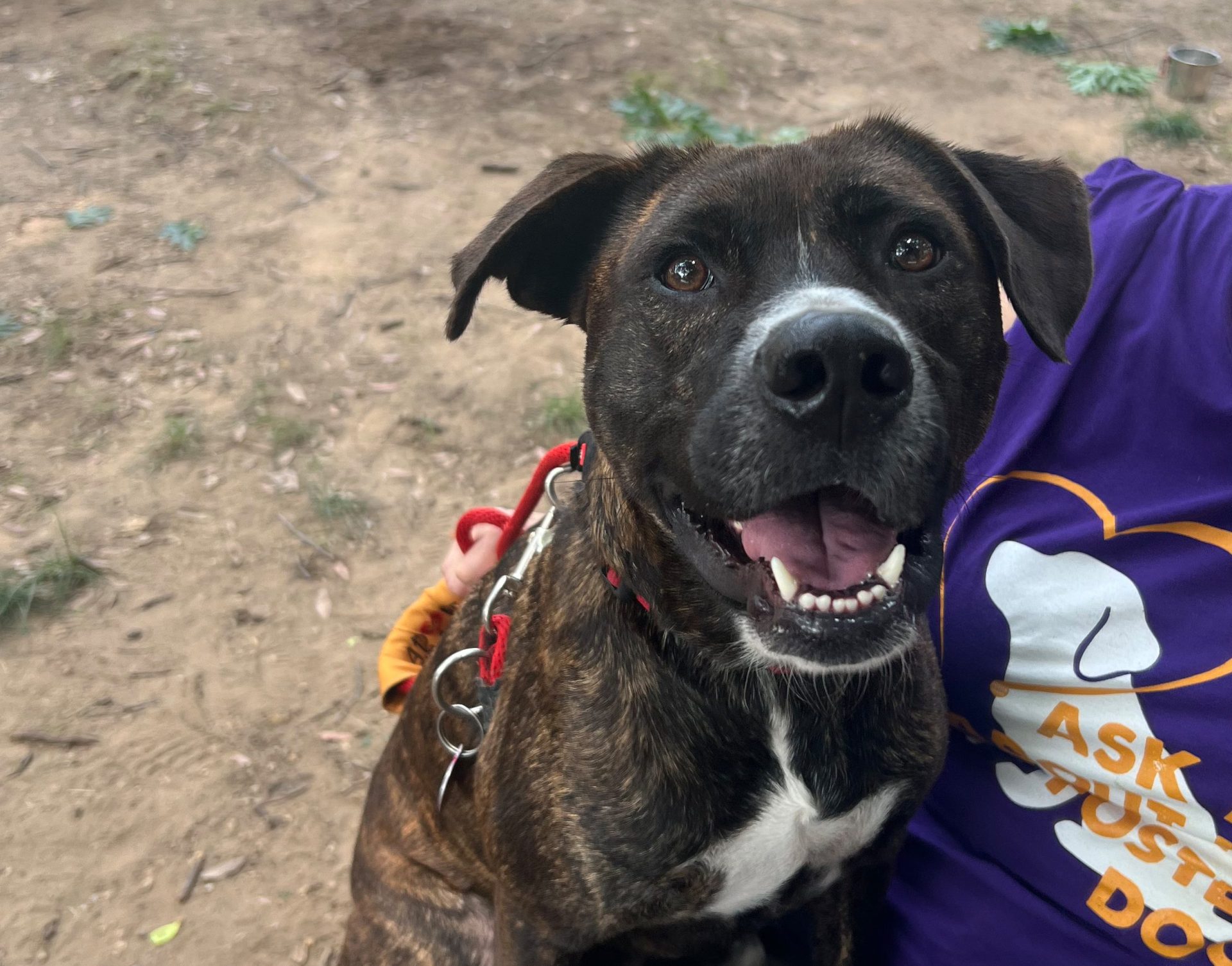 SPCA of Texas | The leading animal welfare agency in North Texas