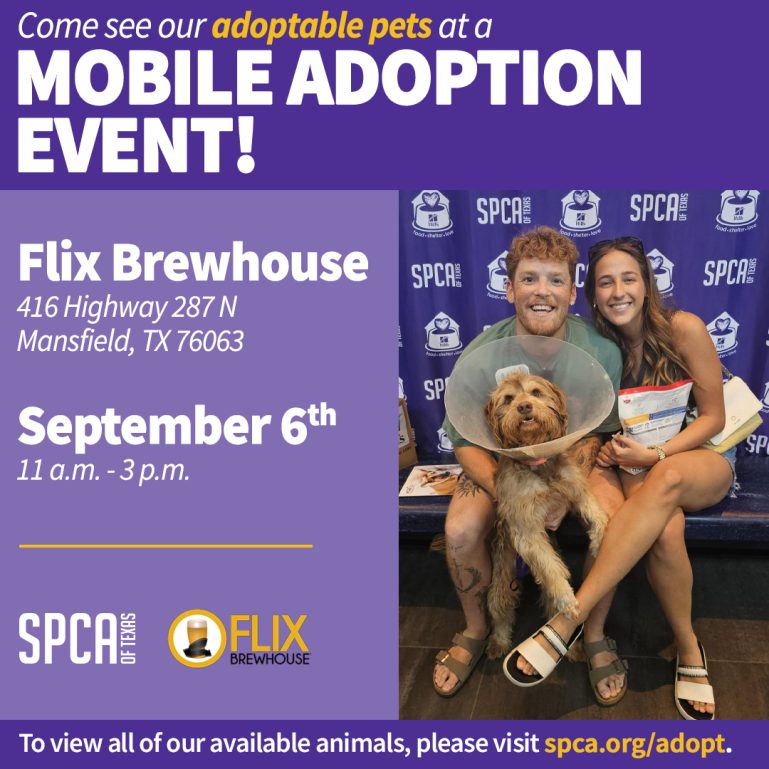 SPCA of Texas | Mobile Adoptions at Flix Brewhouse - SPCA of Texas