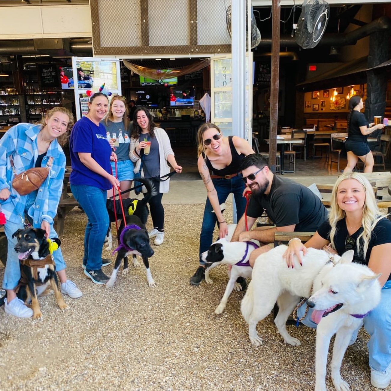 SPCA of Texas | Ways to Volunteer - SPCA of Texas