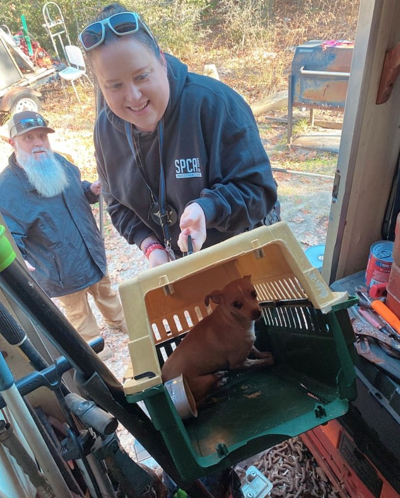SPCA of Texas | Free Texas C.A.R.E.S. Workshop Offers Hands-On Animal ...