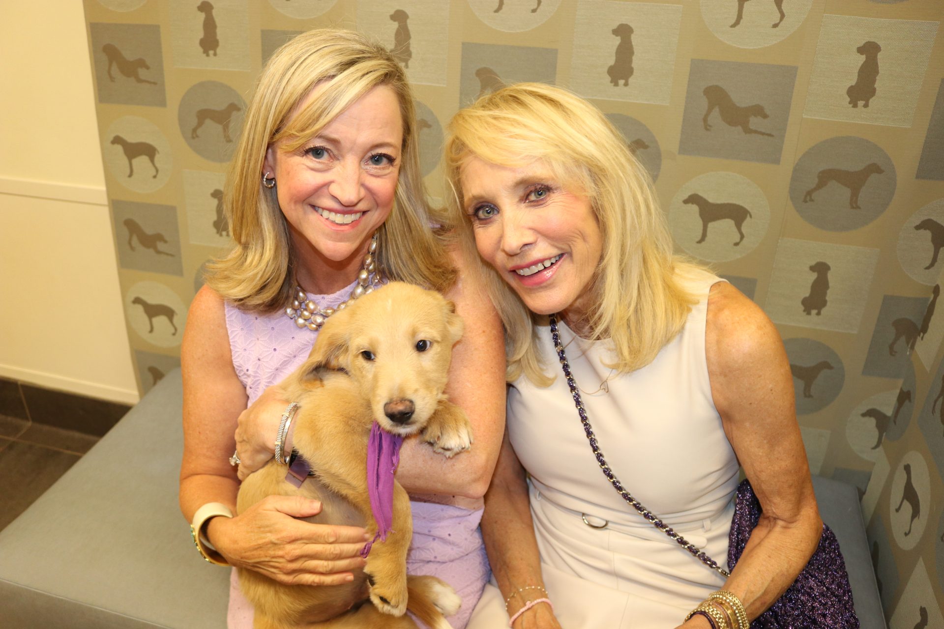 SPCA of Texas | The leading animal welfare agency in North Texas