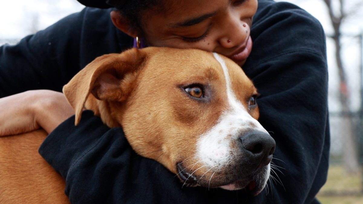 SPCA of Texas | The leading animal welfare agency in North Texas