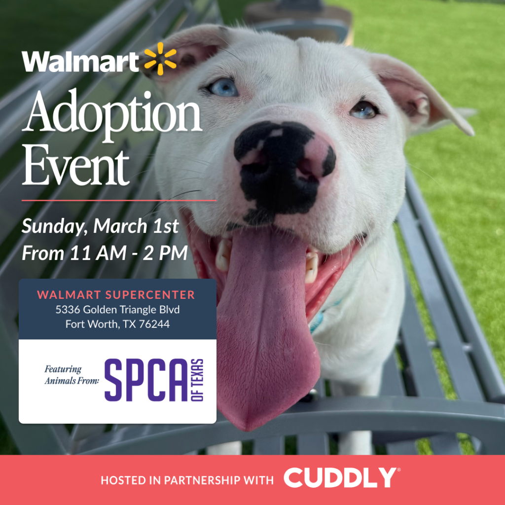SPCA of Texas | Mobile Adoptions @ Walmart Supercenter in Partnership ...